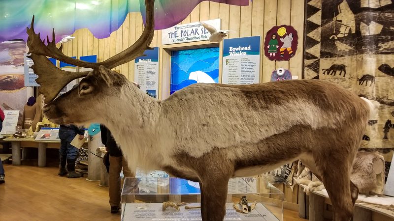 Inuvik | Arctic Town in Northwest Territory Canada - The Nomad Studio