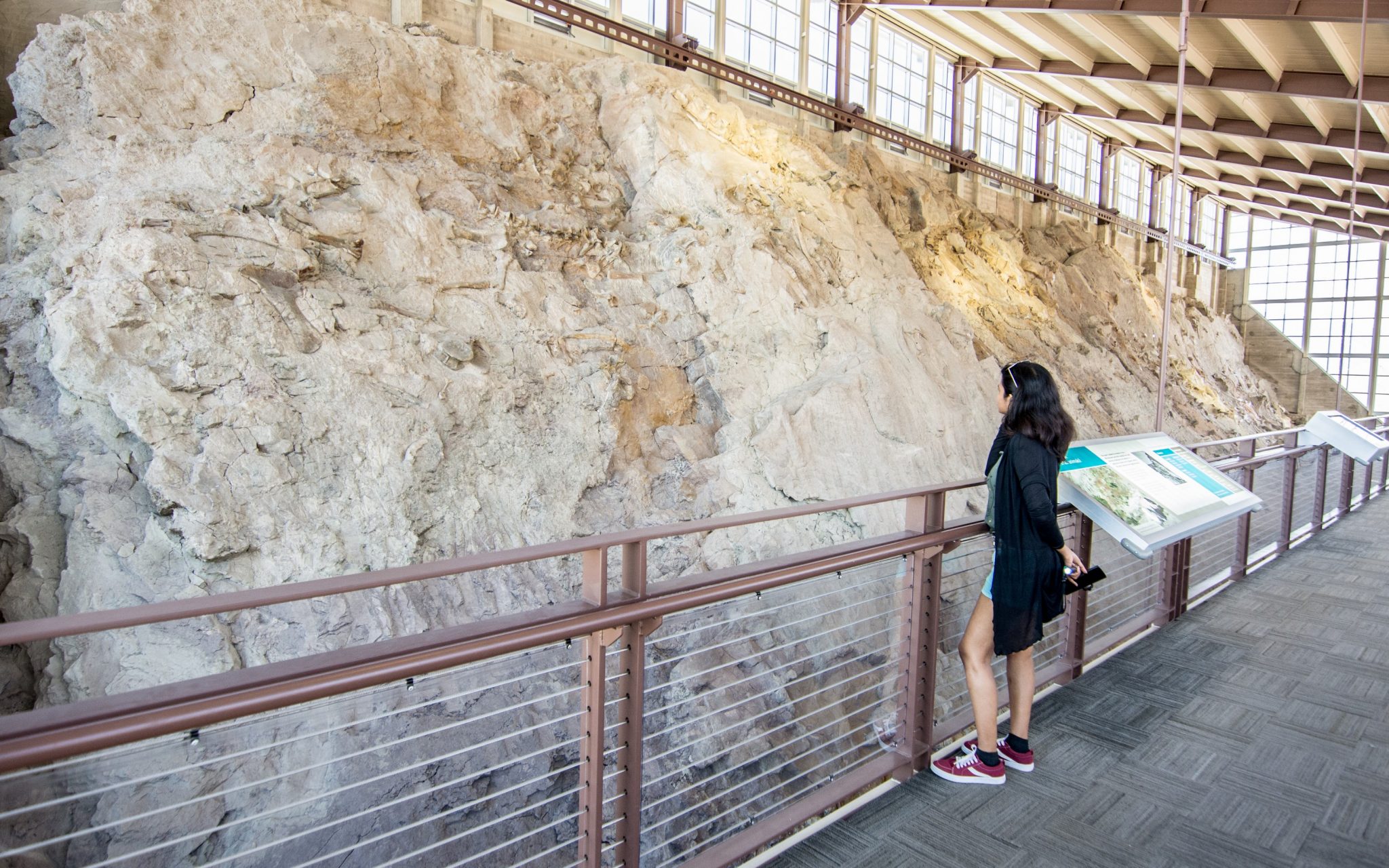 Explore Dinosaur fossils in Utah - The Nomad Studio