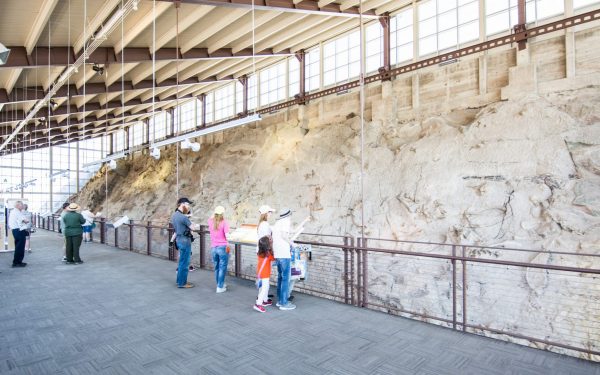 Explore Dinosaur fossils in Utah - The Nomad Studio