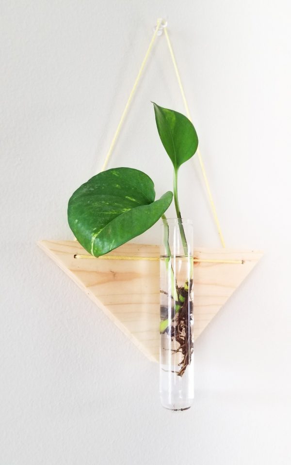 Cute DIY Test Tube Wall Planter - The Nomad Studio