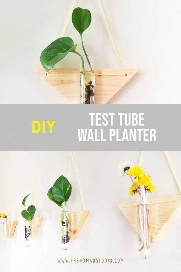 DIY Test tube Planter stand for your desk - The Nomad Studio